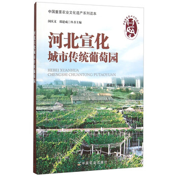 河北宣化城市传统葡萄园