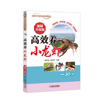 高效养小龙虾 视频升级版