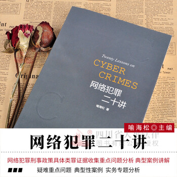网络犯罪二十讲