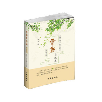 曹岩报告文学自选集
