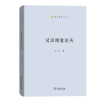 汉语现象论丛/语文教师小丛书