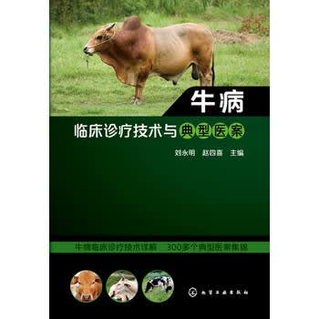 牛病临床诊疗技术与典型医案 刘永明、赵四喜 主编