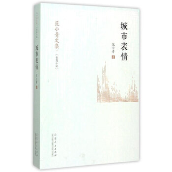 范小青文集 城市表情