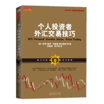 个人投资者外汇交易技巧 