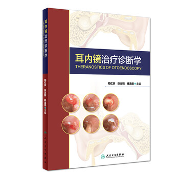 耳内镜治疗诊断学