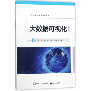 大数据可视化/高级大数据人才培养丛书