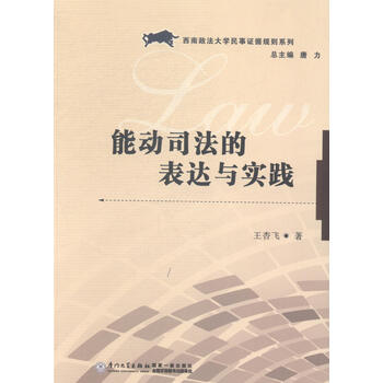 能动司法的表达与实践/法律/书籍