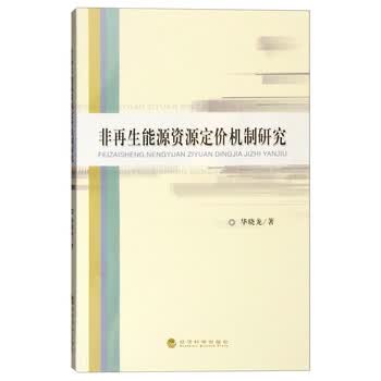 非再生能源资源定价机制研究