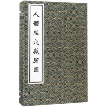 人体经穴脏腑图