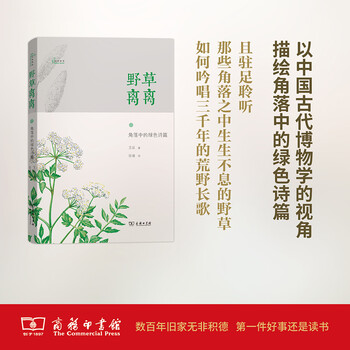 野草离离——角落中的绿色诗篇