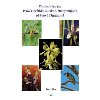 Photo Intro to: Wild Orchids, Birds & Dragon...