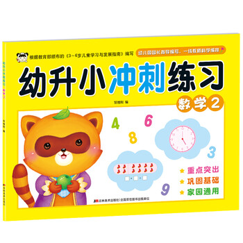 幼升小冲刺练习 数学2