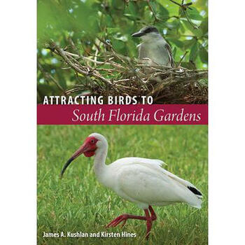 Attracting Birds to South Florida Gardens