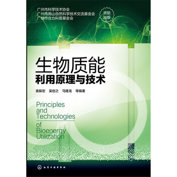 生物质能利用原理与技术