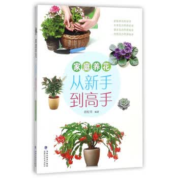 家庭养花从新手到高手