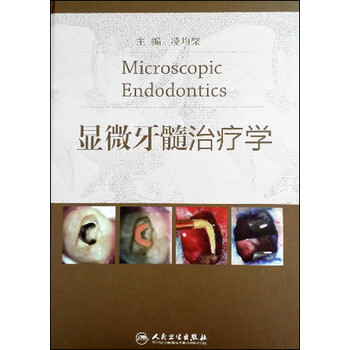 显微牙髓治疗学