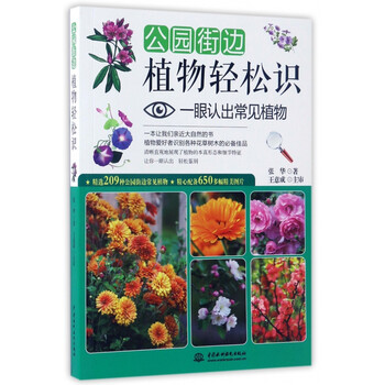 公园街边植物轻松识(一眼认出常见植物)