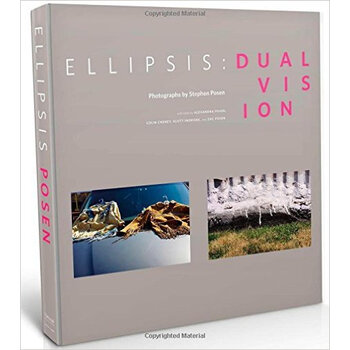 Ellipsis: Dual Vision省略号：双愿景