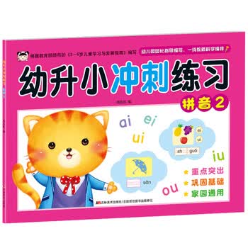 幼升小冲刺练习 拼音2