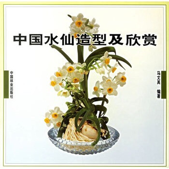中国水仙造型及欣赏