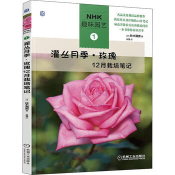 灌丛月季·玫瑰12月栽培笔记