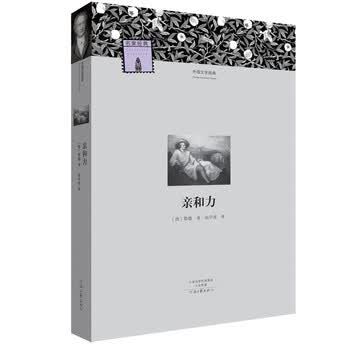 名著名译·外国文学经典：亲和力