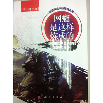 [按需印刷] 网瘾是这样炼成的