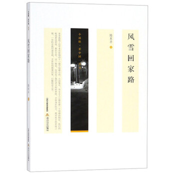 风雪回家路/小说眼看中国丛书