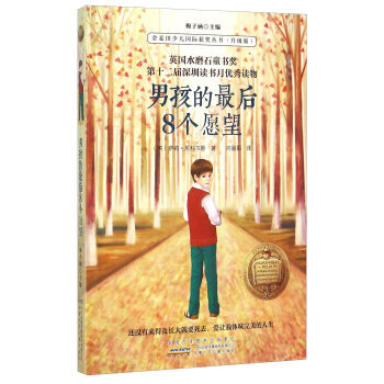 金麦田少儿国际获奖丛书：男孩的后8个愿望(升级版)