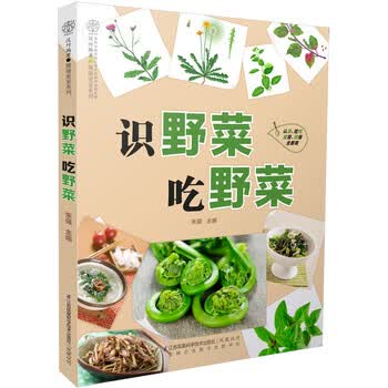 识野菜  吃野菜（汉竹）