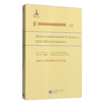 偏微分方程数值解的有效条件数（英文版）