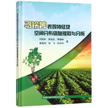 马铃薯表观特征及空间分布信息提取与分析