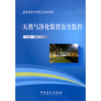天然气净化装置安全监控