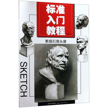 标准入门教程 素描石膏头像
