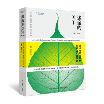 迷途的羔羊：青少年犯罪案例分析及心理预防（第12版）