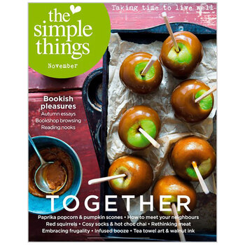 【包邮】【订阅】THE SIMPLE THINGS 生活方式杂志 英国英文 年订12期E428原版