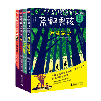 荒野男孩探险小说系列（套装全4册）
