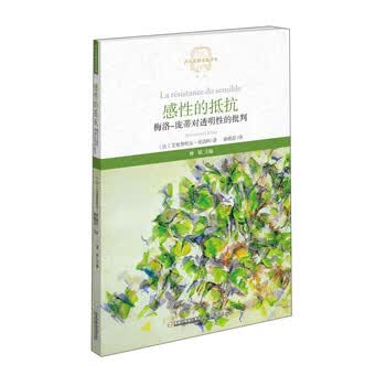感性的抵抗 梅洛-庞蒂对透明性的批判/西方思想文化译丛