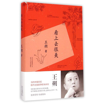 看上去很美 王朔 著 精装 中信书店