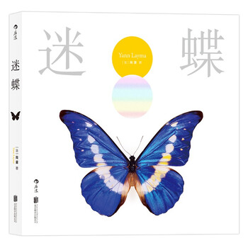 [正版图书]迷蝶