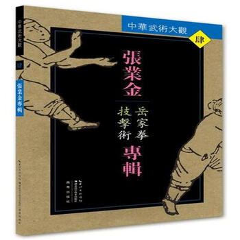 岳家拳技击术-张业金专辑-中华武术大观-肆