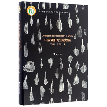 中国牙形刺生物地层