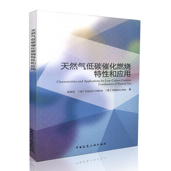 天然气低碳催化燃烧特性和应用