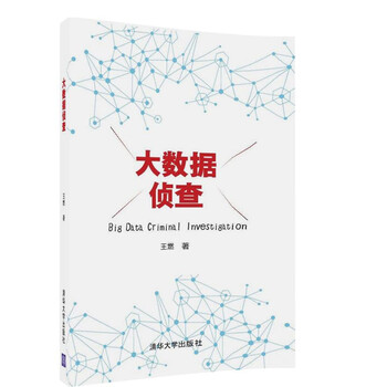 包邮 大数据侦查 王燃 著 “大数据王”的个人专著 大数据侦查技术方法教程书籍 大数据