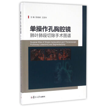 单操作孔胸腔镜肺叶肺段切除手术图谱