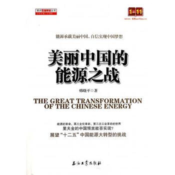 美丽中国的能源之战/读点石油财经丛书