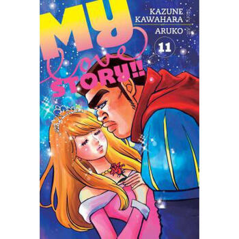 My Love Story!!, Vol. 11: Volume 11