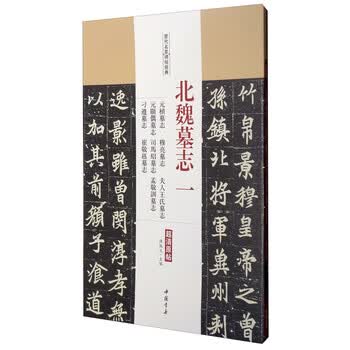 历代名家碑帖经典：北魏墓志一 元桢墓志穆亮墓志夫人王氏墓志元显俊墓志司马绍墓志孟敬训墓志等