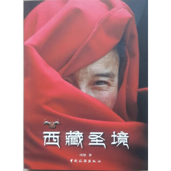 正版 ~~圣境9787503250354冯伟