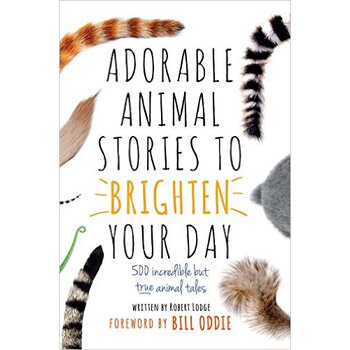 Adorable Animal Stories